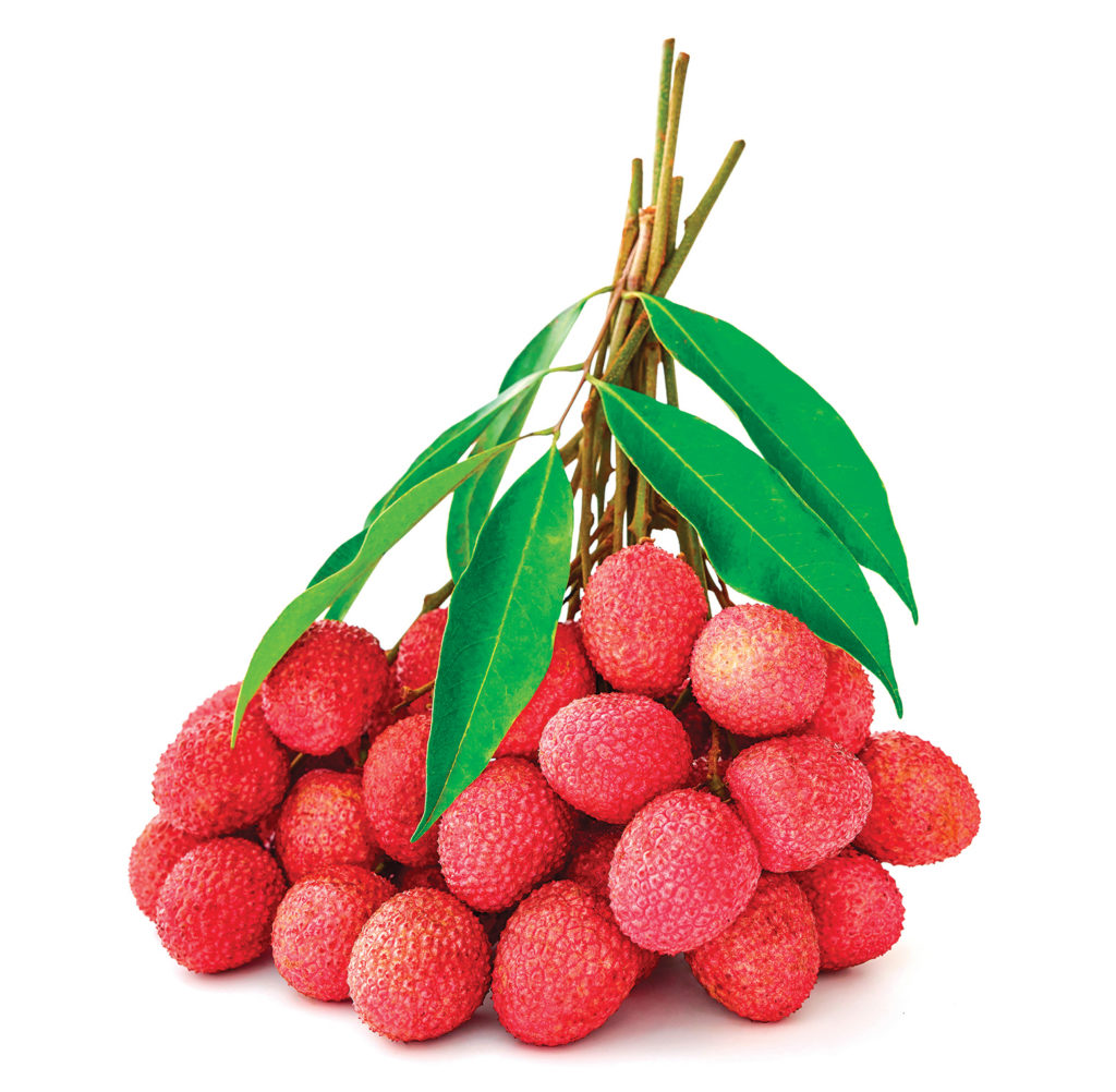 La Signification des Fruits en Chine (中國的水果) – Ecole du lion d'or